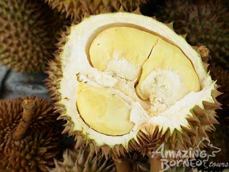 10 Bornean Fruits You Must Try Before You Die | Travelogue - Amazing ...
